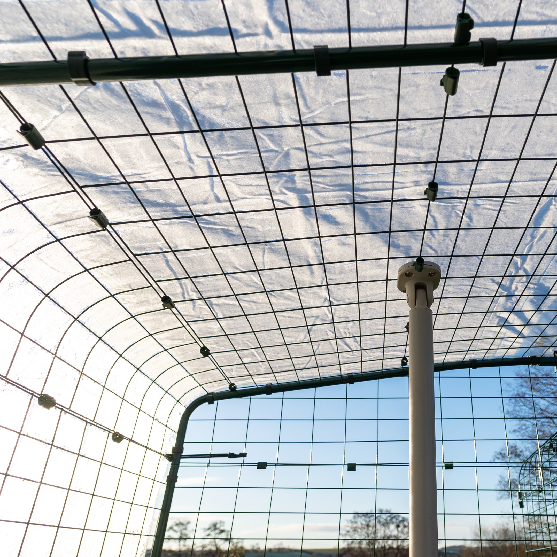 Clear Walk In Run/Catio Cover 3x4m — Four Legs or Wings Pets