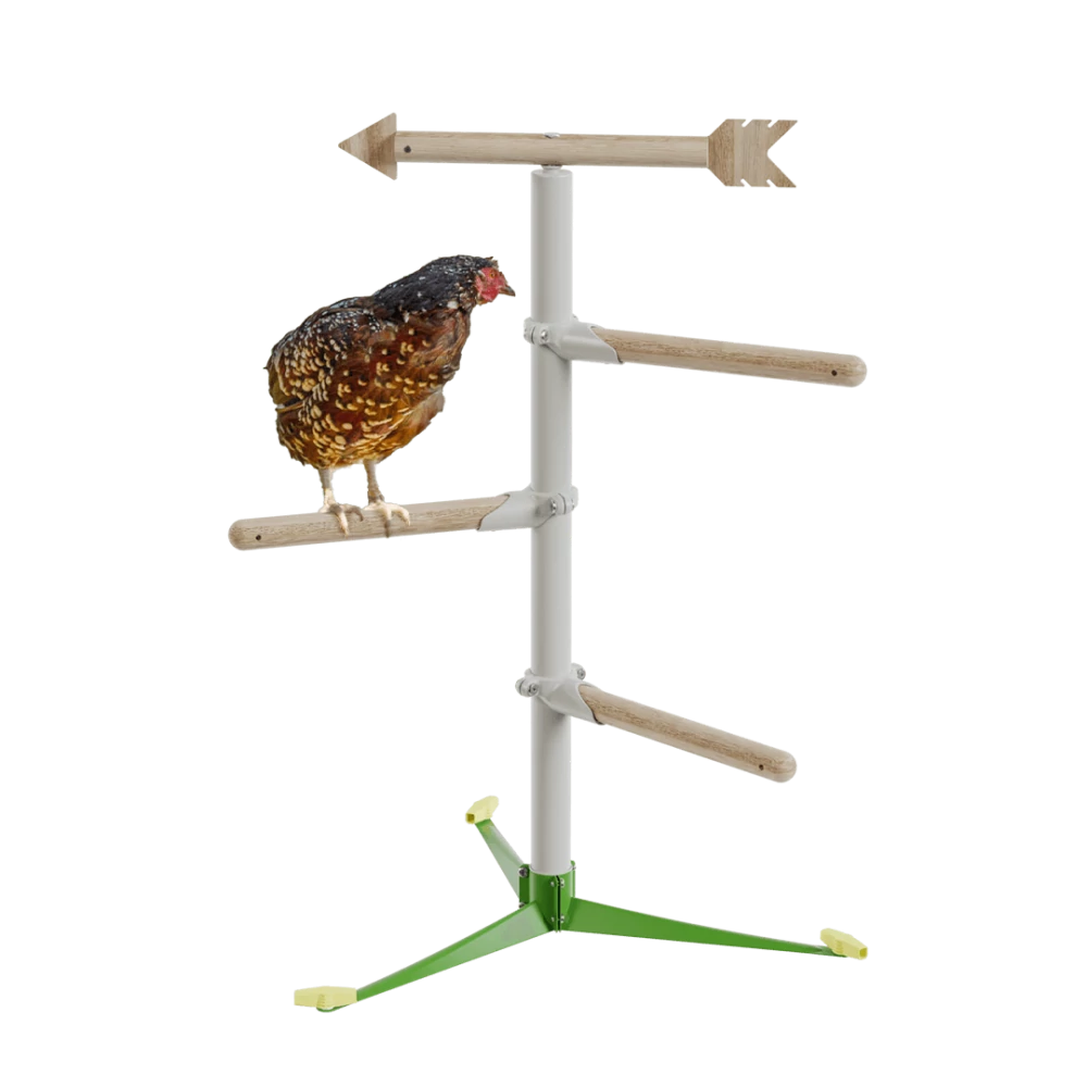 Freestanding Chicken Perch — Four Legs or Wings Pets