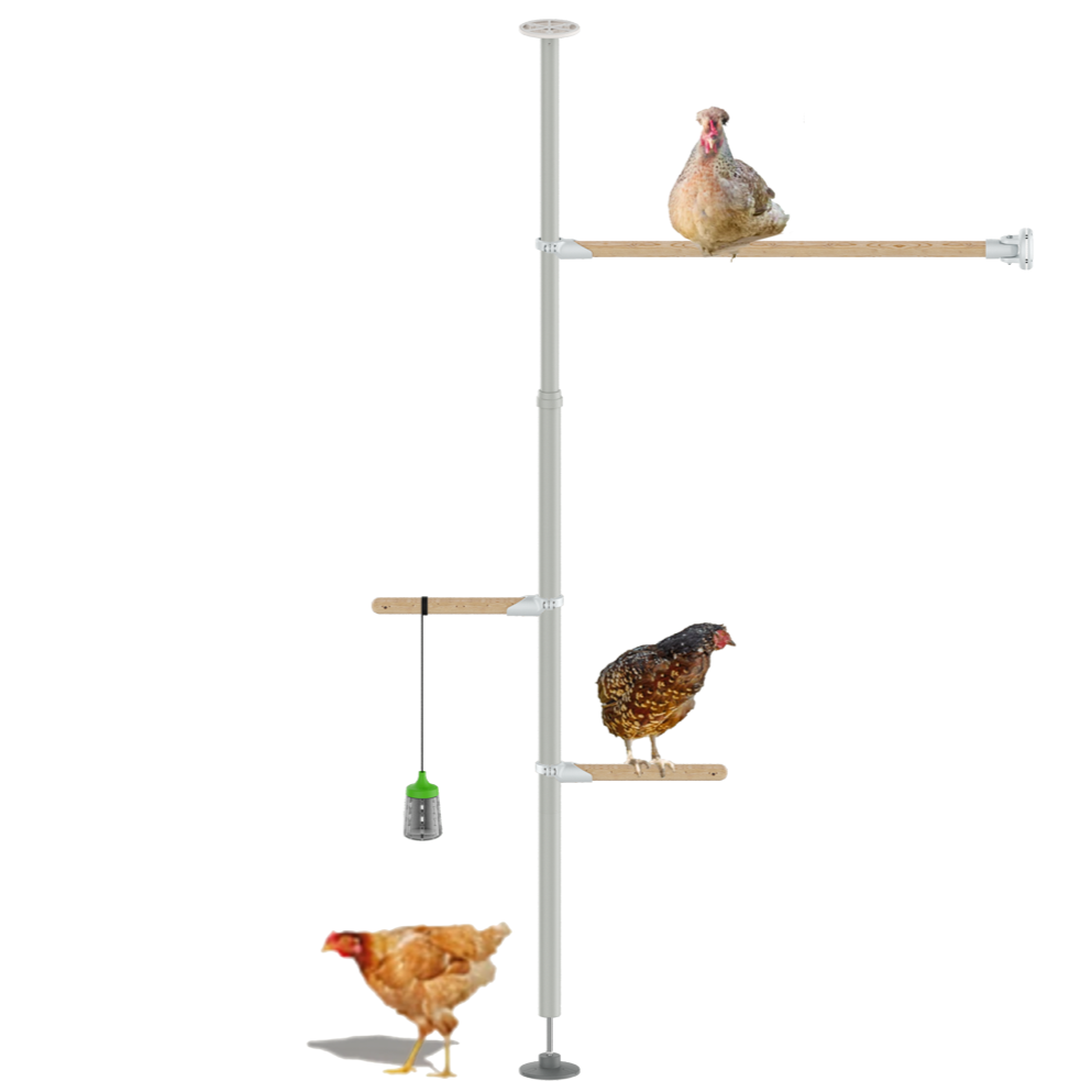PoleTree Chicken Perch — Four Legs or Wings Pets